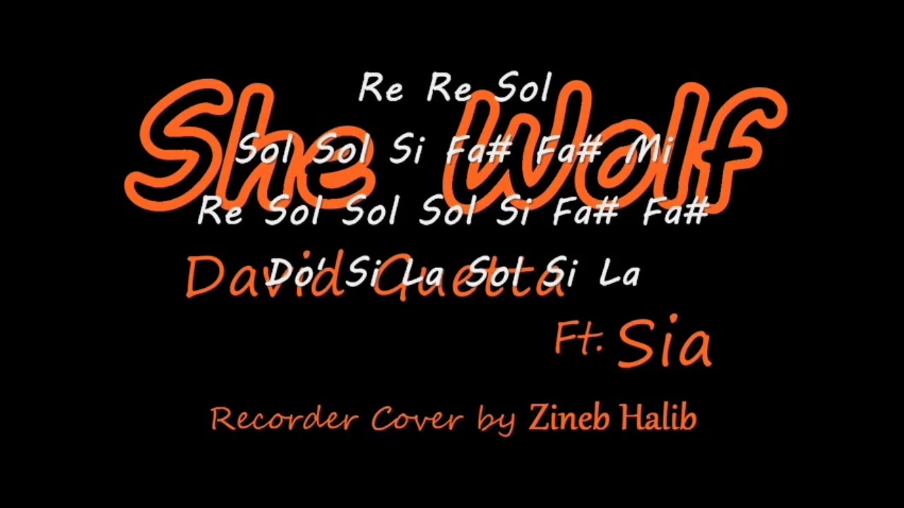 She Wolf-Recorder Notes | David Guetta ft. Sia - YouTube