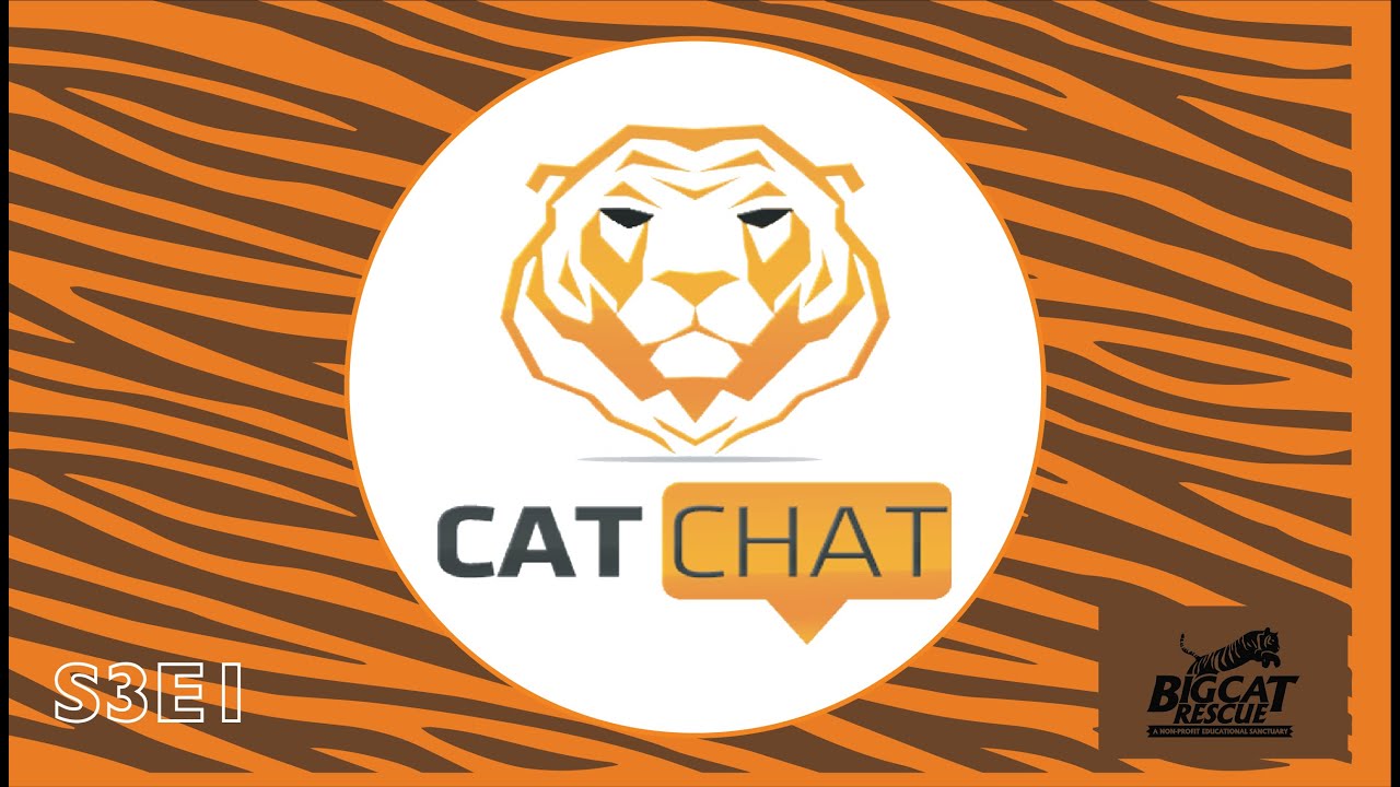 Cat Chat Show Season 3, Episode 1 09 18 2021 - YouTube