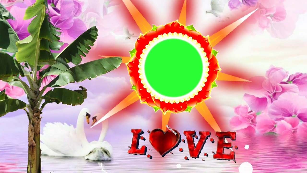 New wedding photo frame green screen VFX project #6 - YouTube