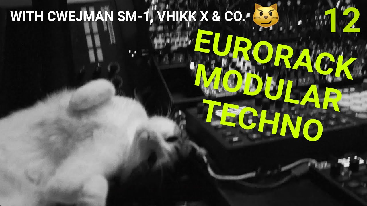 EPISODE 12: EURORACK MODULAR TECHNO WITH CWEJMAN SM-1, VHIKK X & CO. 😼 - YouTube