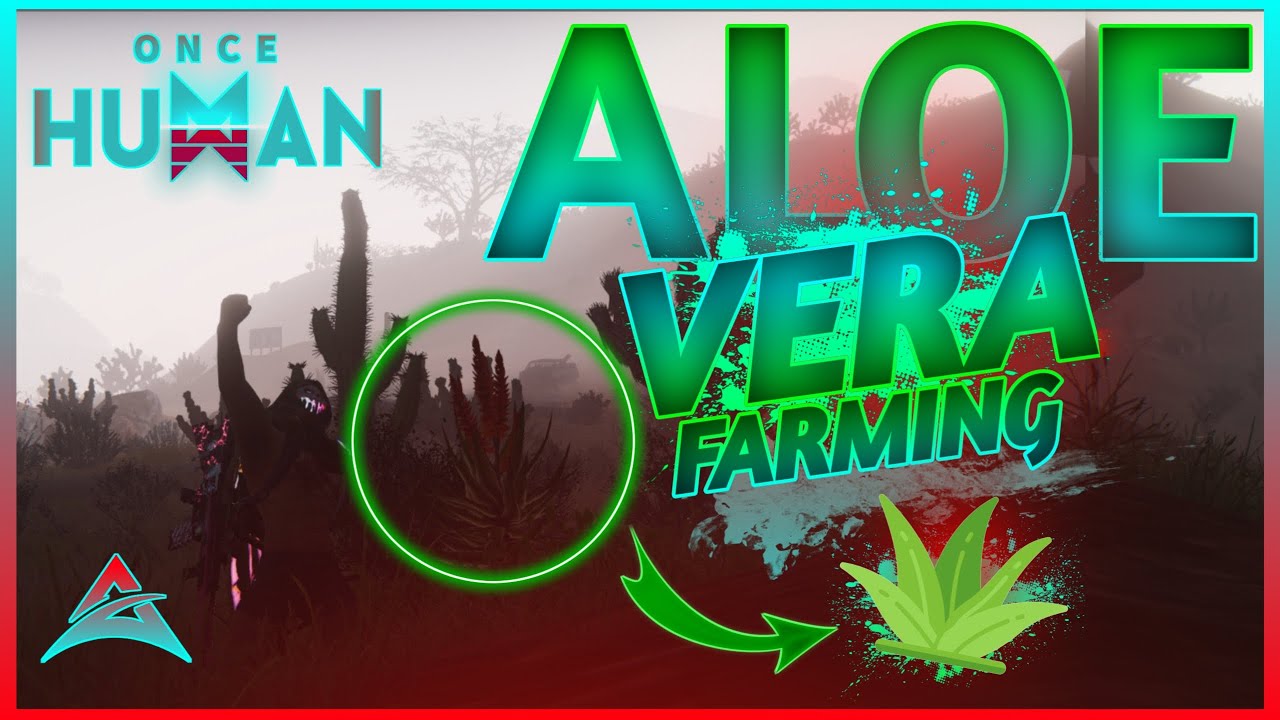 ONCE HUMAN - HOW TO GET ALOE VERA - FASTEST ALOE VERA FARM! - ALOE VERA ...