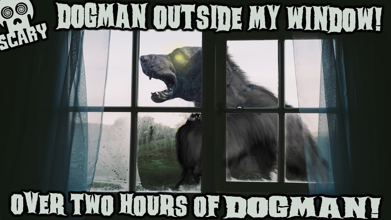 Dogman Outside My Window: Over 2 Hours of DOGMAN! - YouTube
