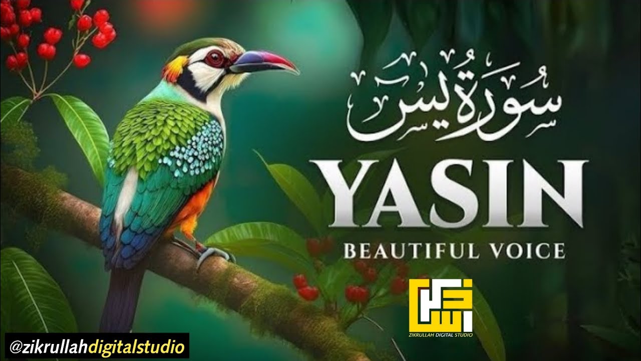 Surah Yasin (Yaseen) - This Will Touch Your Heart and Soul إن شاء الله - Zikrullah digital ...