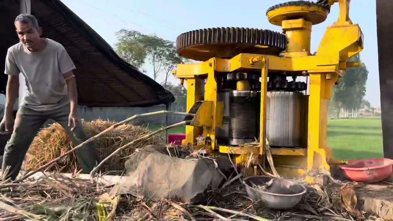 Savoring Sweetness Journey to the Heart of Our Organic Jaggery Farm 🌾🍯 ...