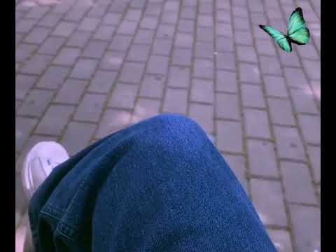 🦋♪Whatsapp ucun maraqli statuslar,sevgiye aid video,Sounds App Status ucun qisa videolar 2022🍃.