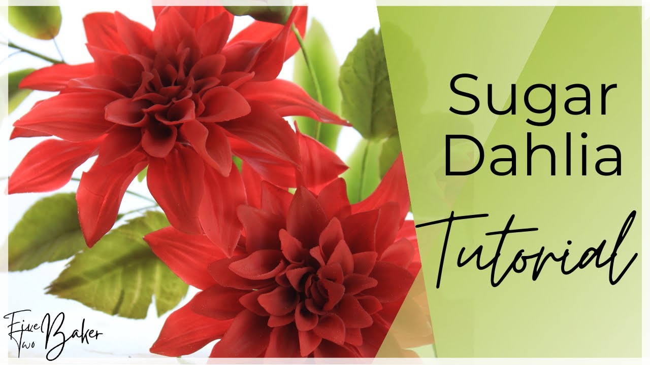 Gumpaste Dahlia Tutorial ⎸Dinnerplate Dahlia Sugar Flower - YouTube