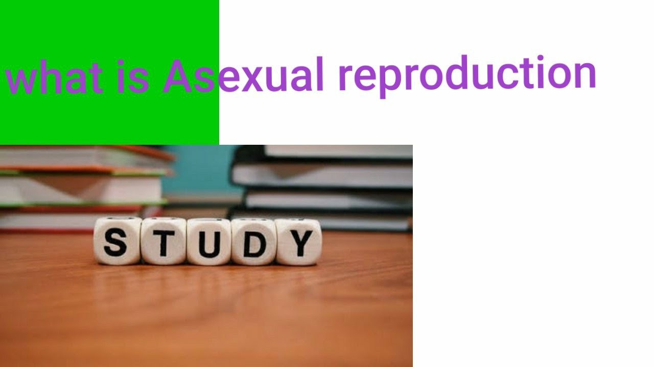 What Is Asexual Reproduction Asexual Reproduction Kya Hota Hai YouTube what-is-asexual-reproduction-asexual-reproduction-kya-hota-hai-youtube
