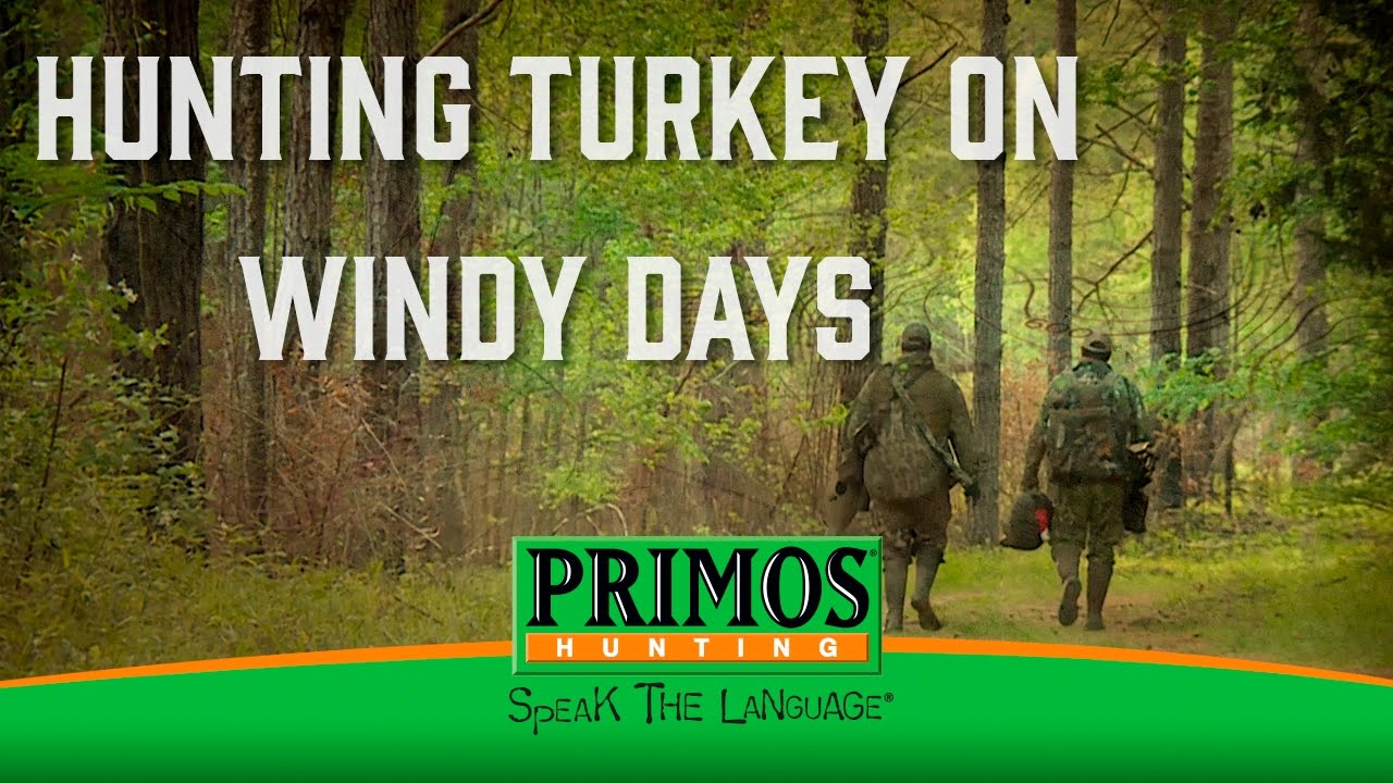 How to Hunt Turkeys on Windy Days - YouTube