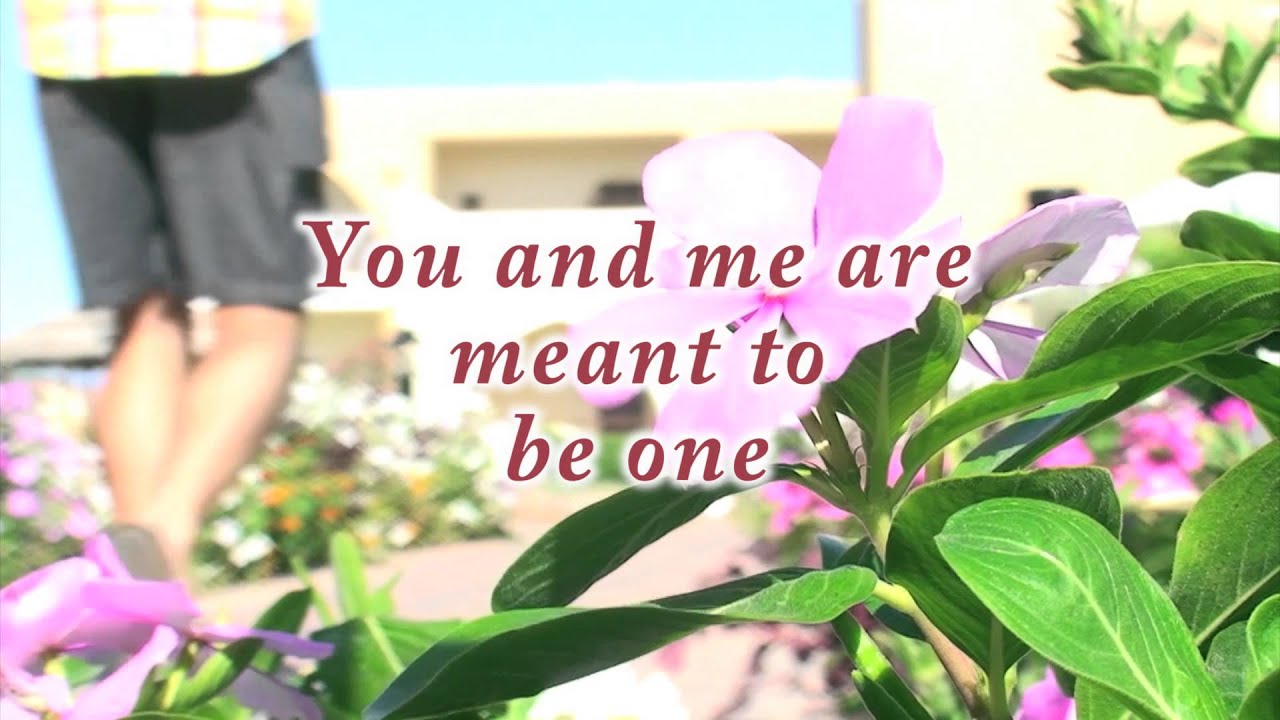 Paramount Song l Come Back Baby Come Back - YouTube