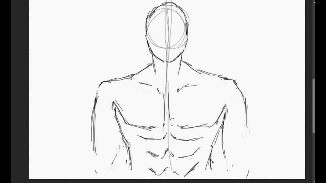 desenho mangá corpo de um homem (tronco de um homem) - YouTube