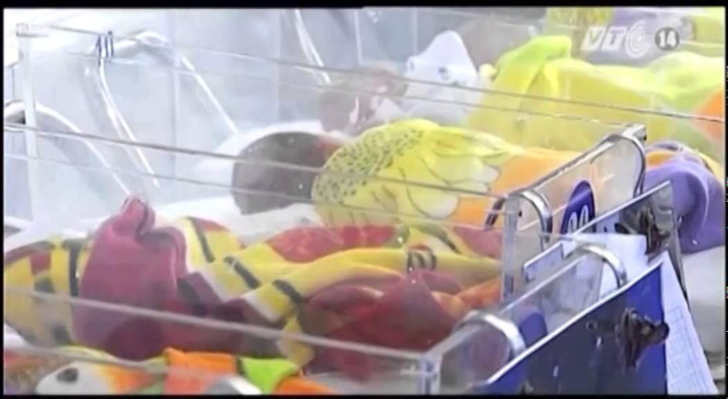 VTC14_Chênh lệch giới tính ở Hà Nội: 115 trẻ trai/ 100 trẻ gái - YouTube