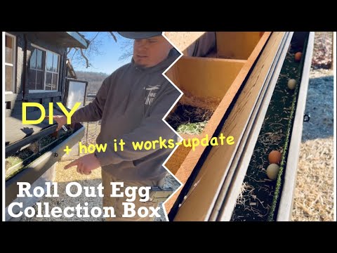 Roll Out Egg Box / Automatic Egg Collection | Modified Nesting box ...