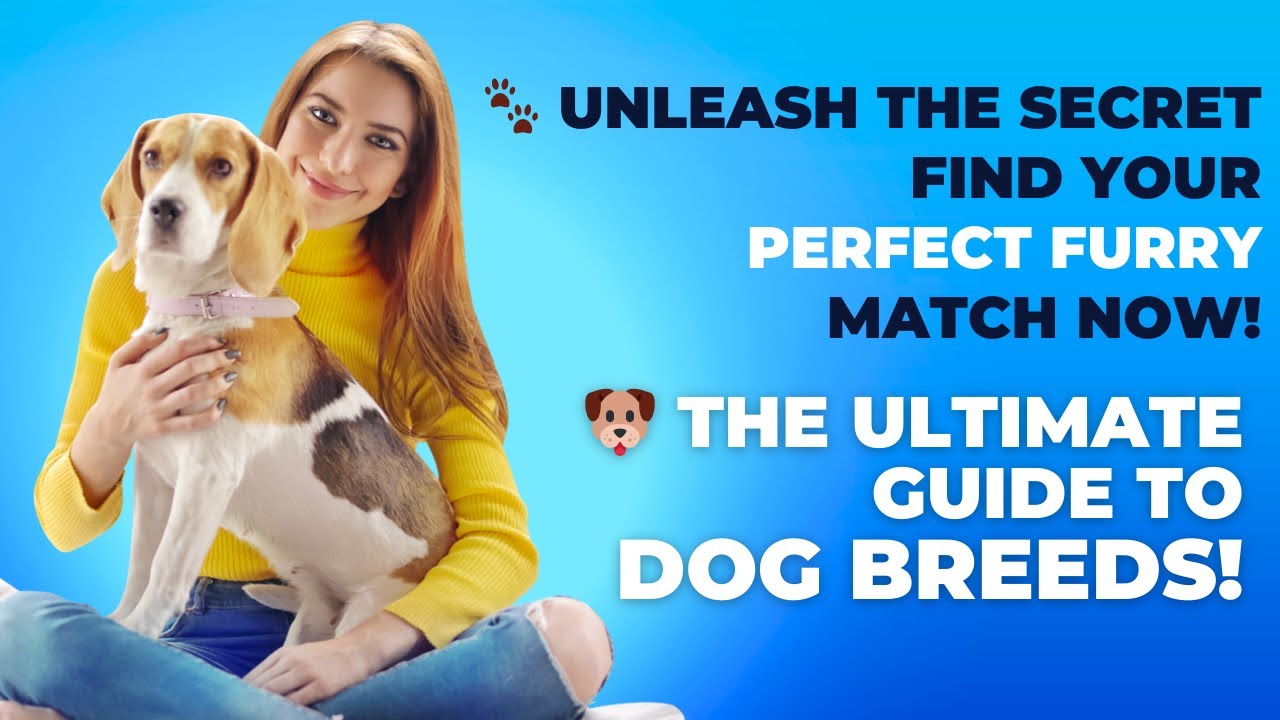 🐾 UNLEASH THE SECRET: Find Your Perfect Furry Match NOW! 🐶 The Ultimate ...