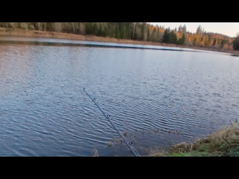 Fishing with Lumi for Steelhead #fishwithme #fishing #girlswhofish ...