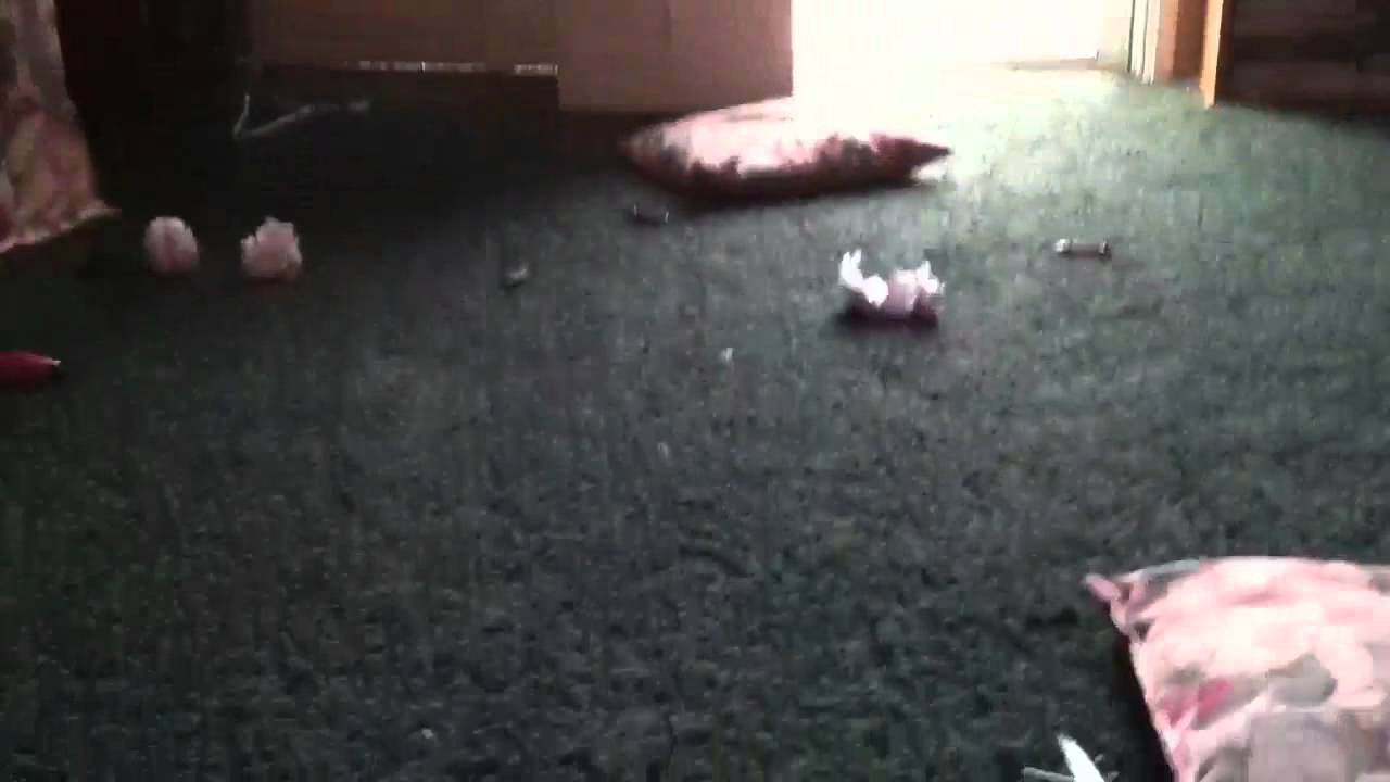 Real Life Paper Toss - YouTube