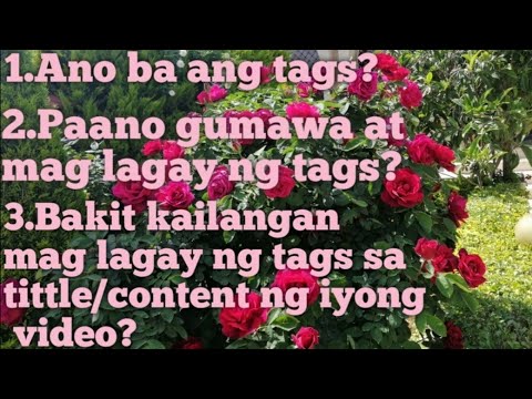Paano mag lagay ng TAGS?||ano ba ang TAGS?||bakit kailangan mag lagay ...