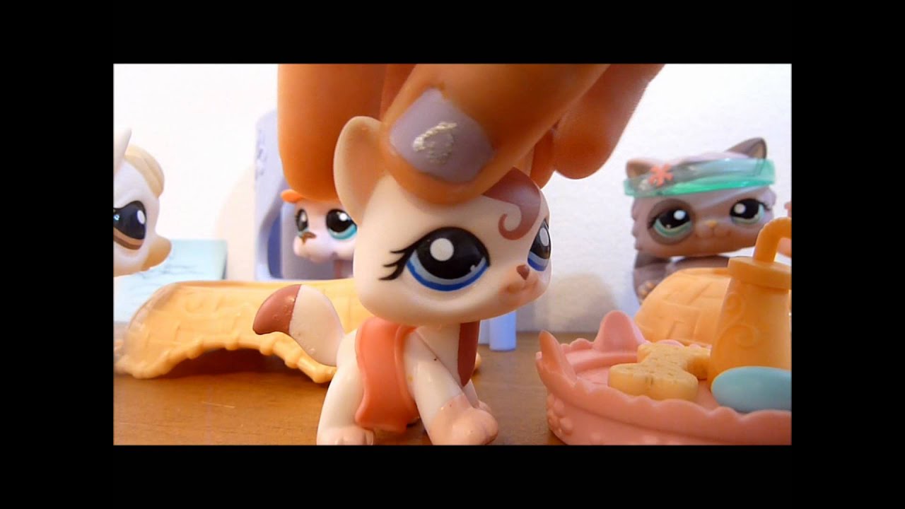 LPS Twins Episode 5 - YouTube