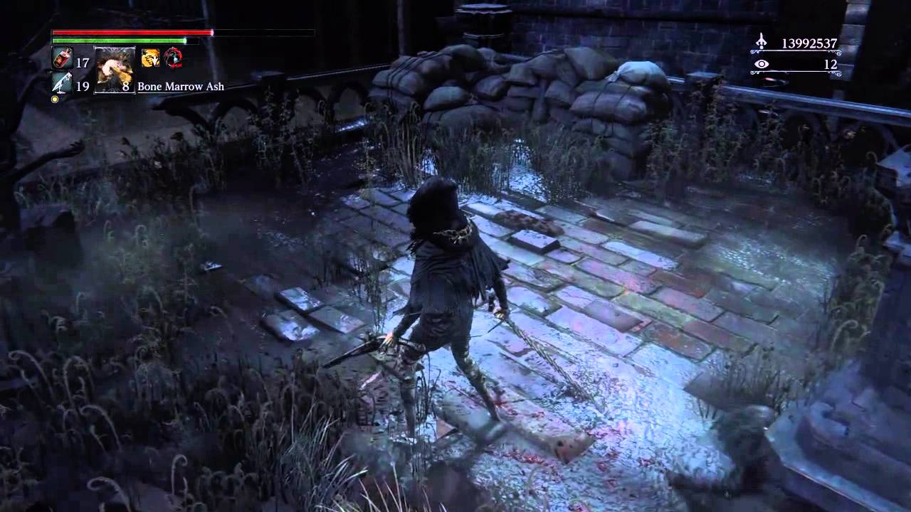 Bloodborne New Creature Legendary Floor Wolf - YouTube