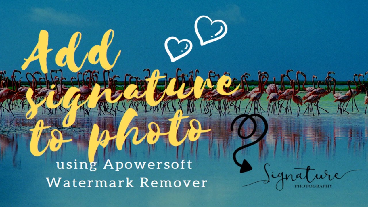 The Best Tool to Add Signature on Photo - YouTube