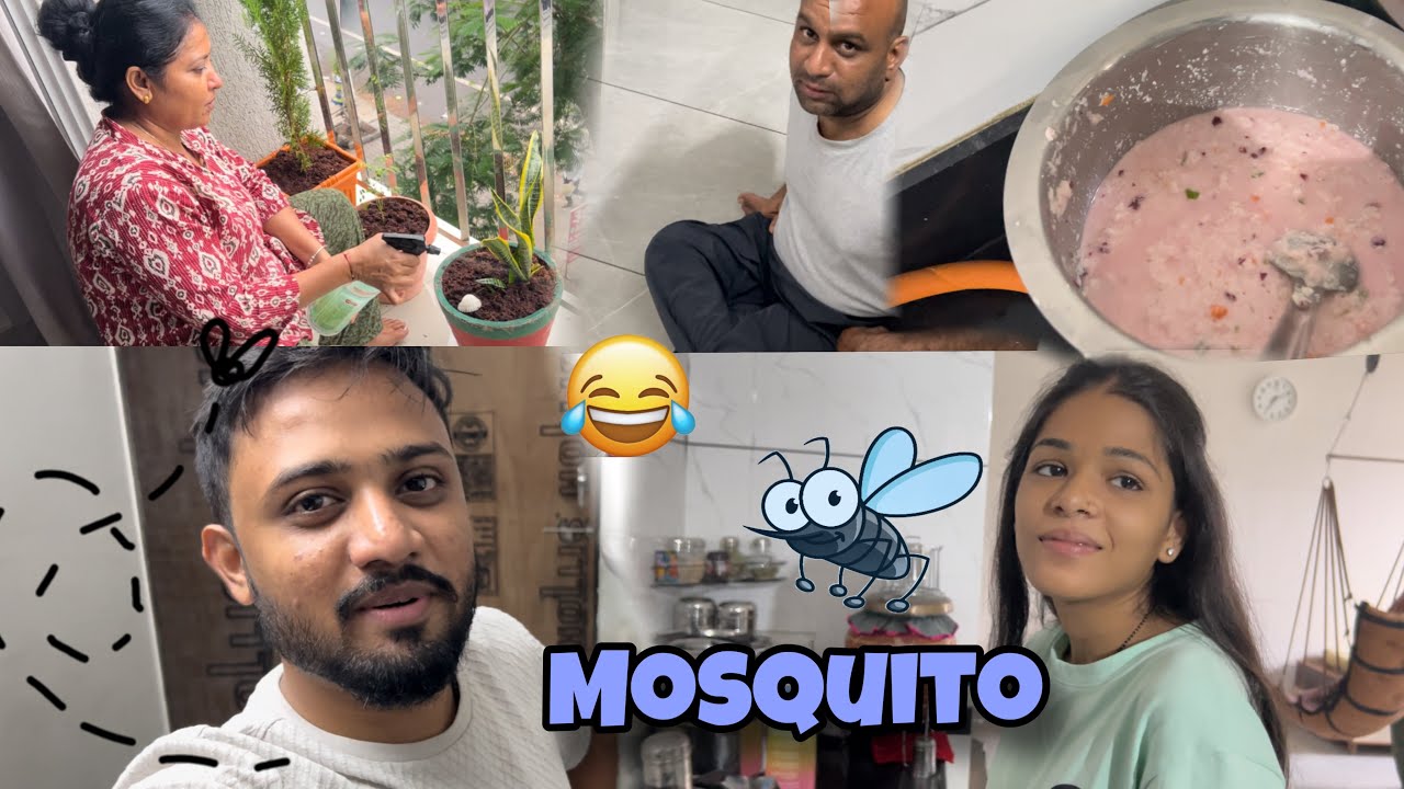 Bov j Mosquito 🦟 Ho Pan || Papa Ae Mane Shu Kidhu ? || Family Vlog ...