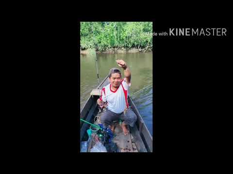 Mancing mania udang sungai KTW