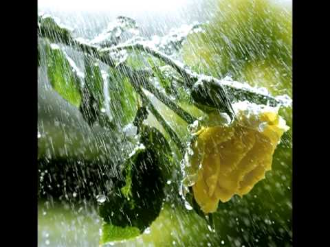 Gerçek Sevgi Yolunda Sonsuzluğa Doğru - Sohbet 41