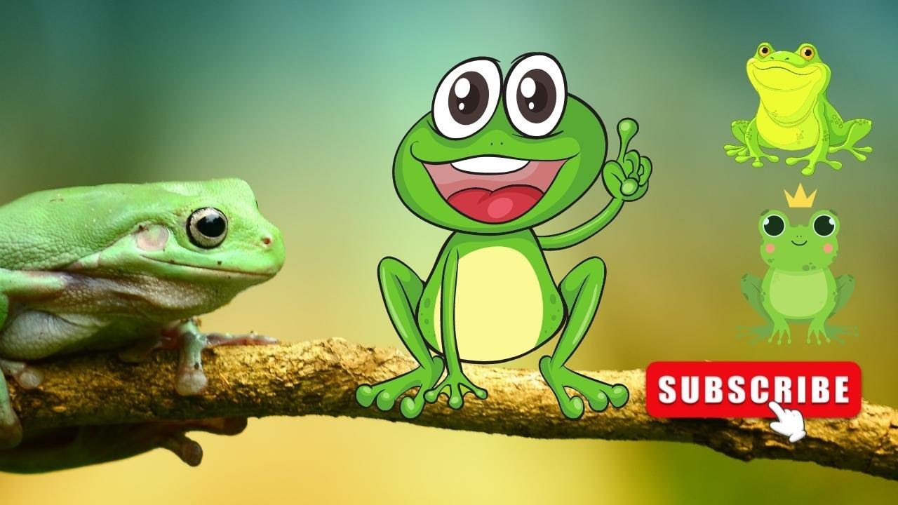 Taka si jagoan lompat katak dan sering bernyanyi | kode alam katak ...