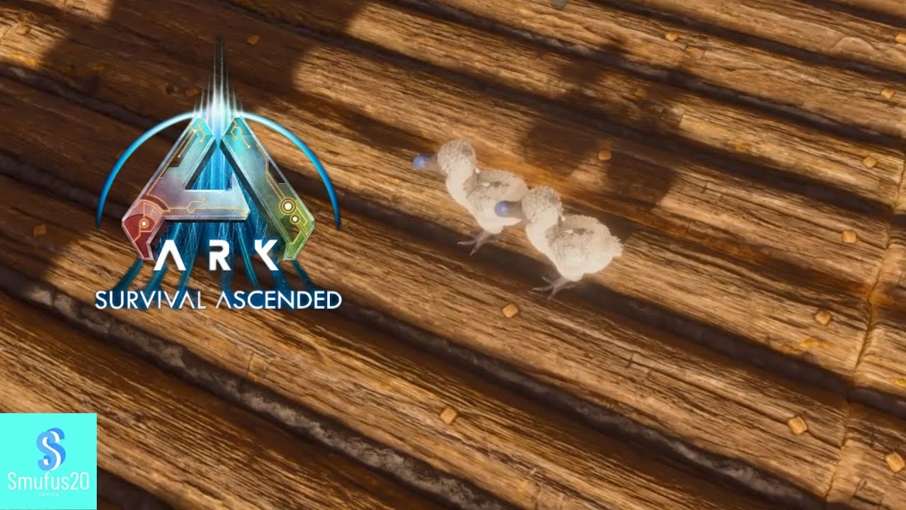 Ark ASA #29 Ark-Geschenk / Deutsch / Konsole / Let´s Play - YouTube