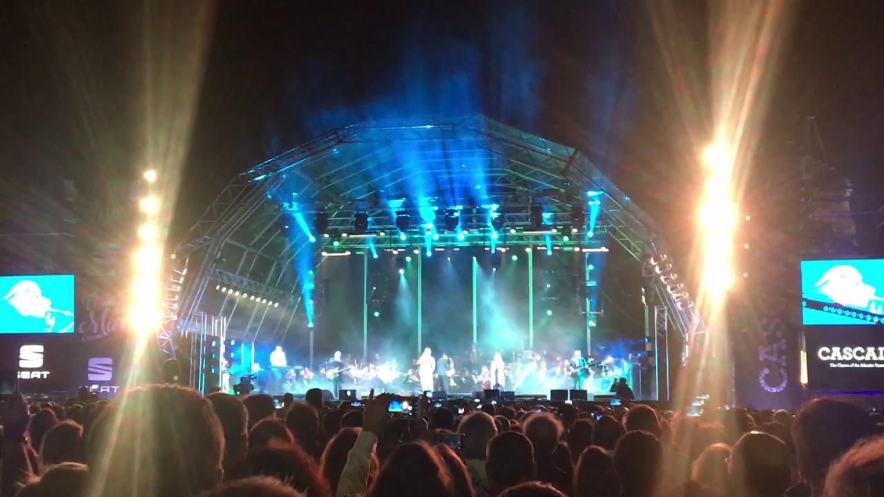 Delfins - baía de Cascais- festas do mar em Cascais 2019 - YouTube