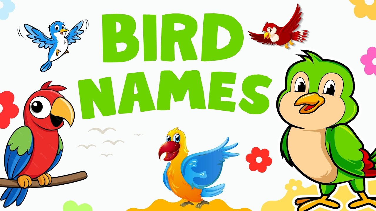 Birds Name | Colorful Birds Names for Kids | Learn Birds with Fun and ...
