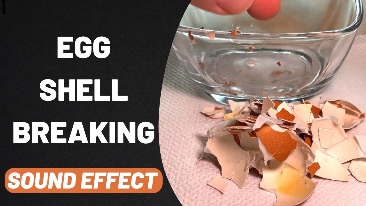 Eggs Shell Breaking Sound Effect Stereo High Quality 96kHz - YouTube