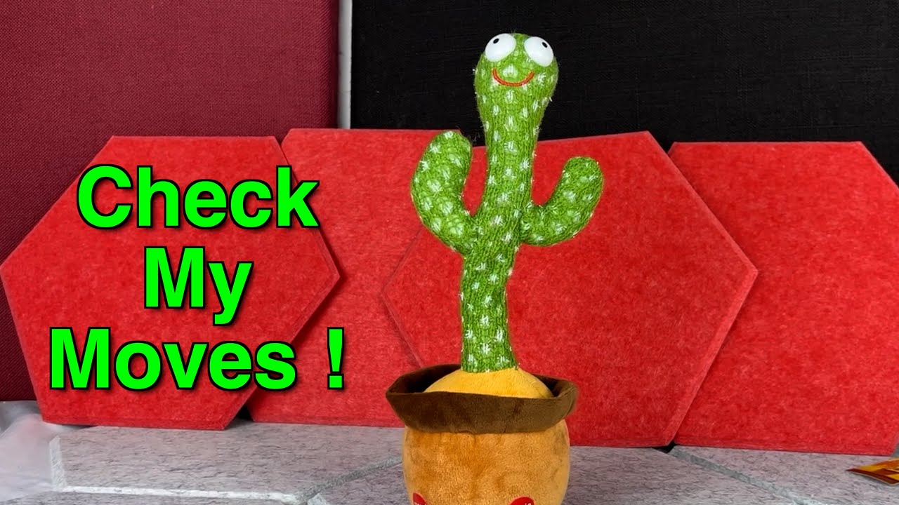 Dancing & Talking Cactus Toy Review - Funny Toys for Kids - YouTube