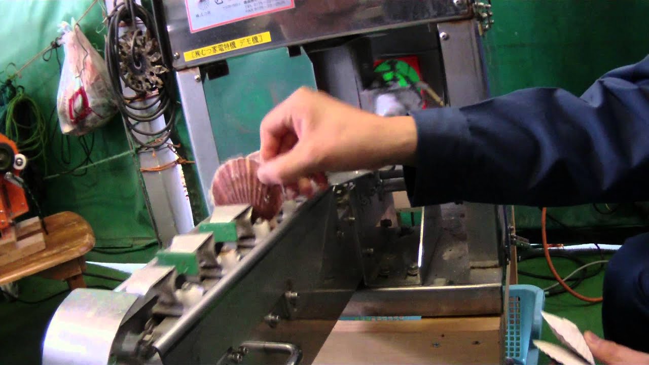 ear drilling machine for Japanese scallops - YouTube