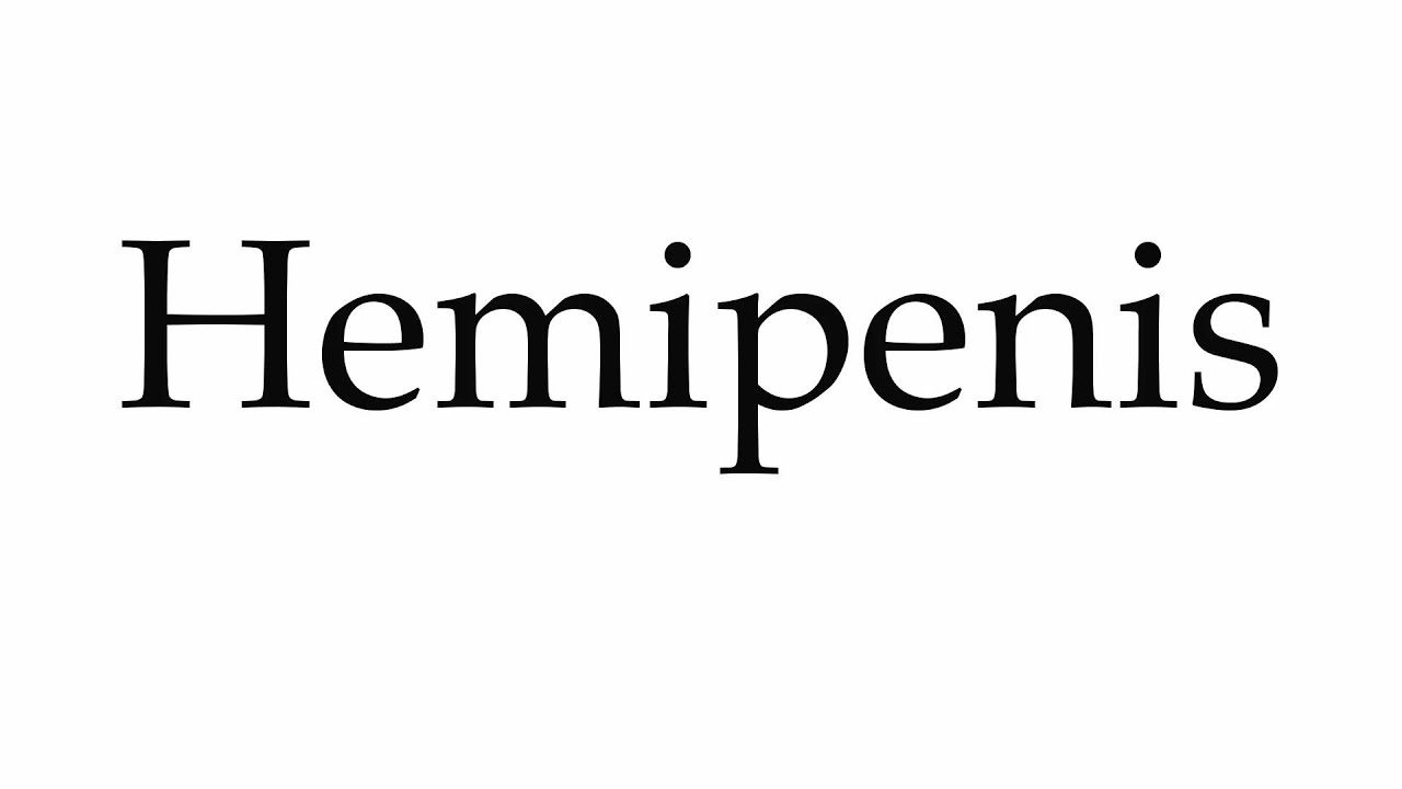 How to Pronounce Hemipenis - YouTube