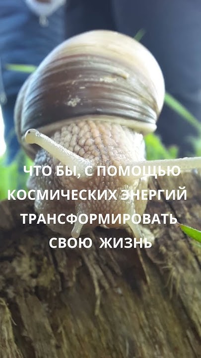 Обязательно найдите в этот день время Youtube