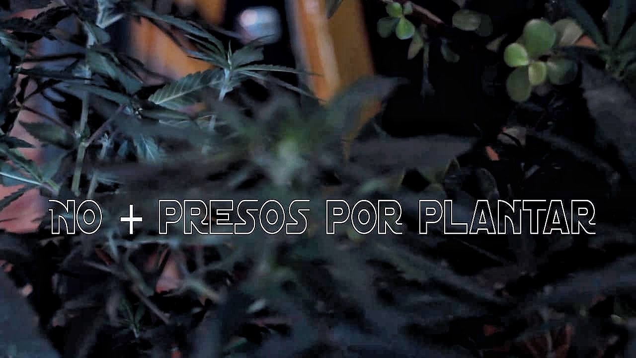 ZZ99 - NCMVJK (videoclip) - YouTube