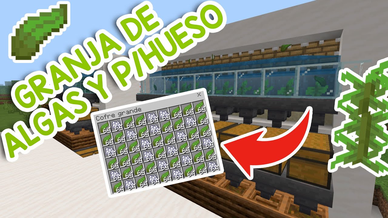 Granja de Algas y Polvo de hueso Minecraft bedrock 1.17 (Funcionando ...