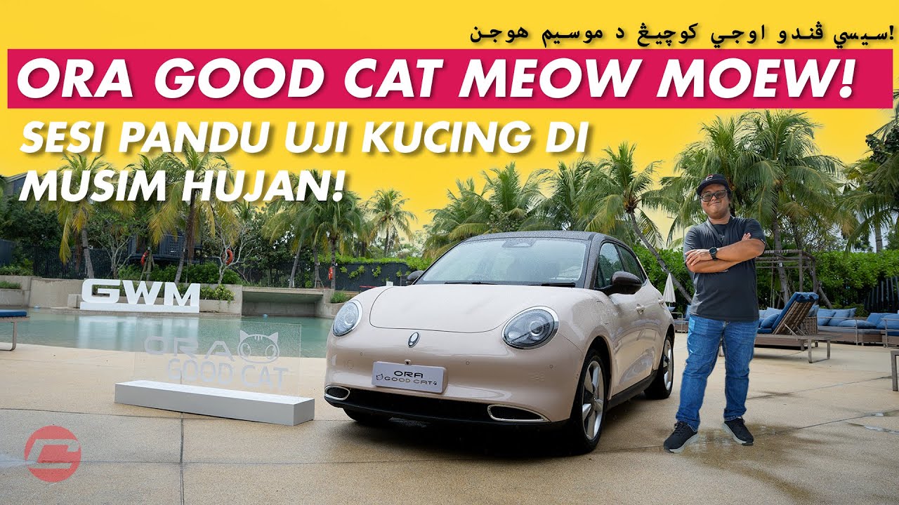 ORA GOOD CAT MEOW MEOW! - SESI PANDU UJI KUCING DI MUSIM HUJAN - YouTube