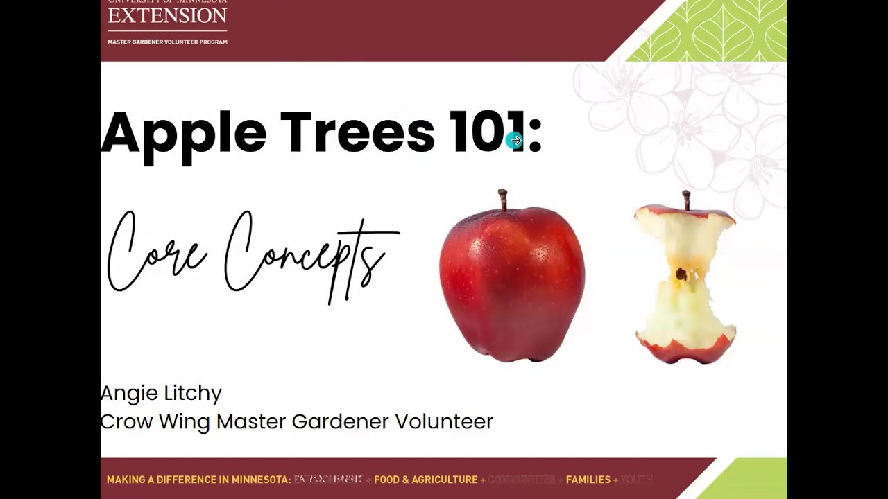 Apple Trees 101: Core Concepts - YouTube