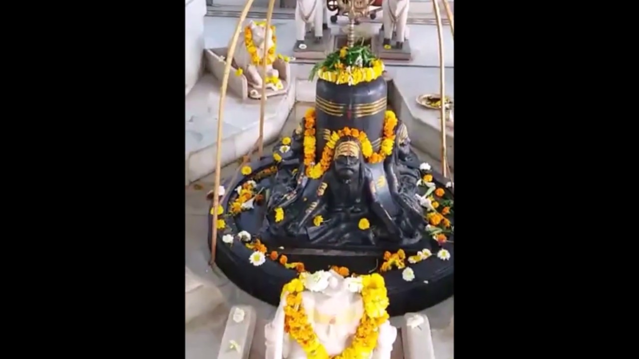 11 Minutes of video walk will take you to a complete Walk view of ...