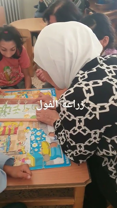 زراعة الفول وأقسام نبات الفول Youtube