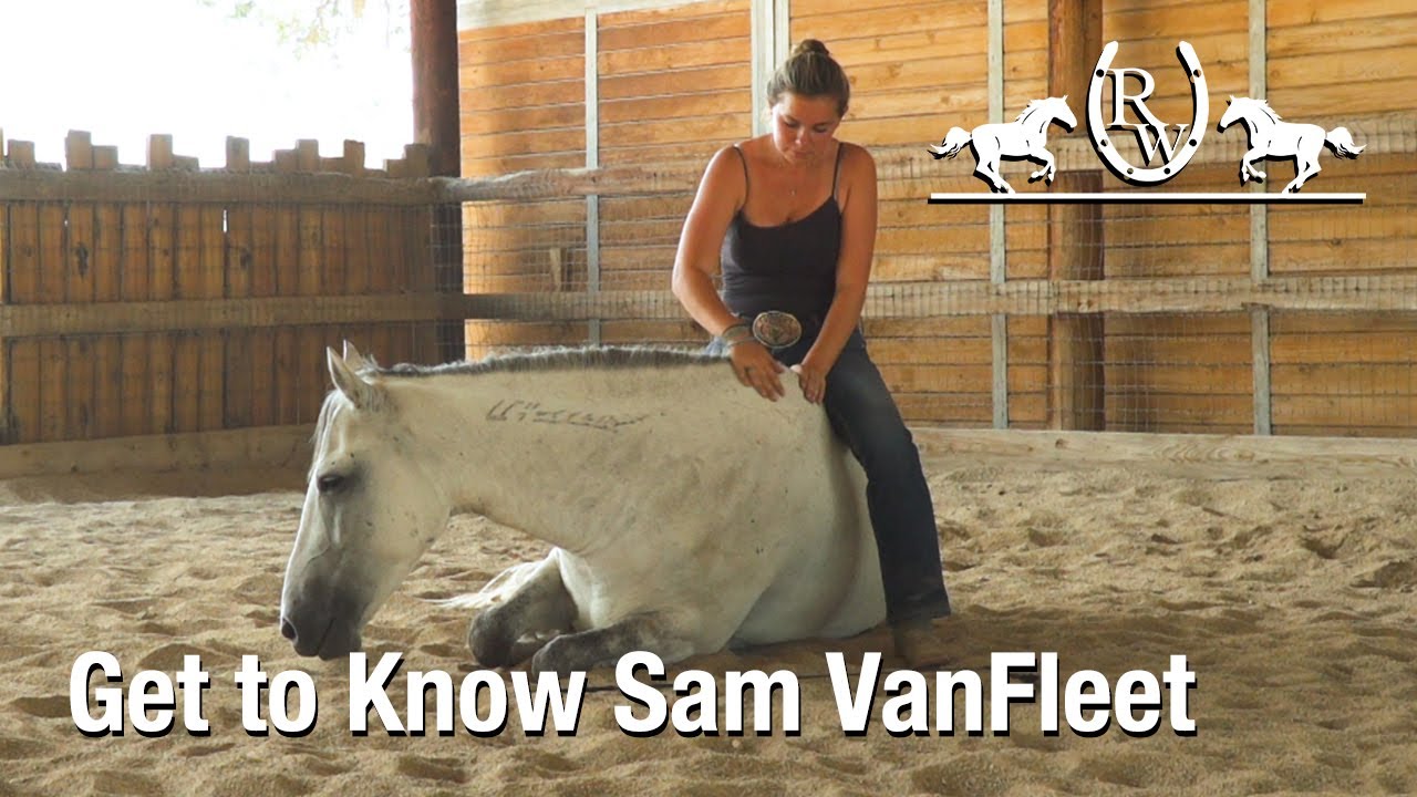 Get to Know Sam VanFleet Mustangs - YouTube