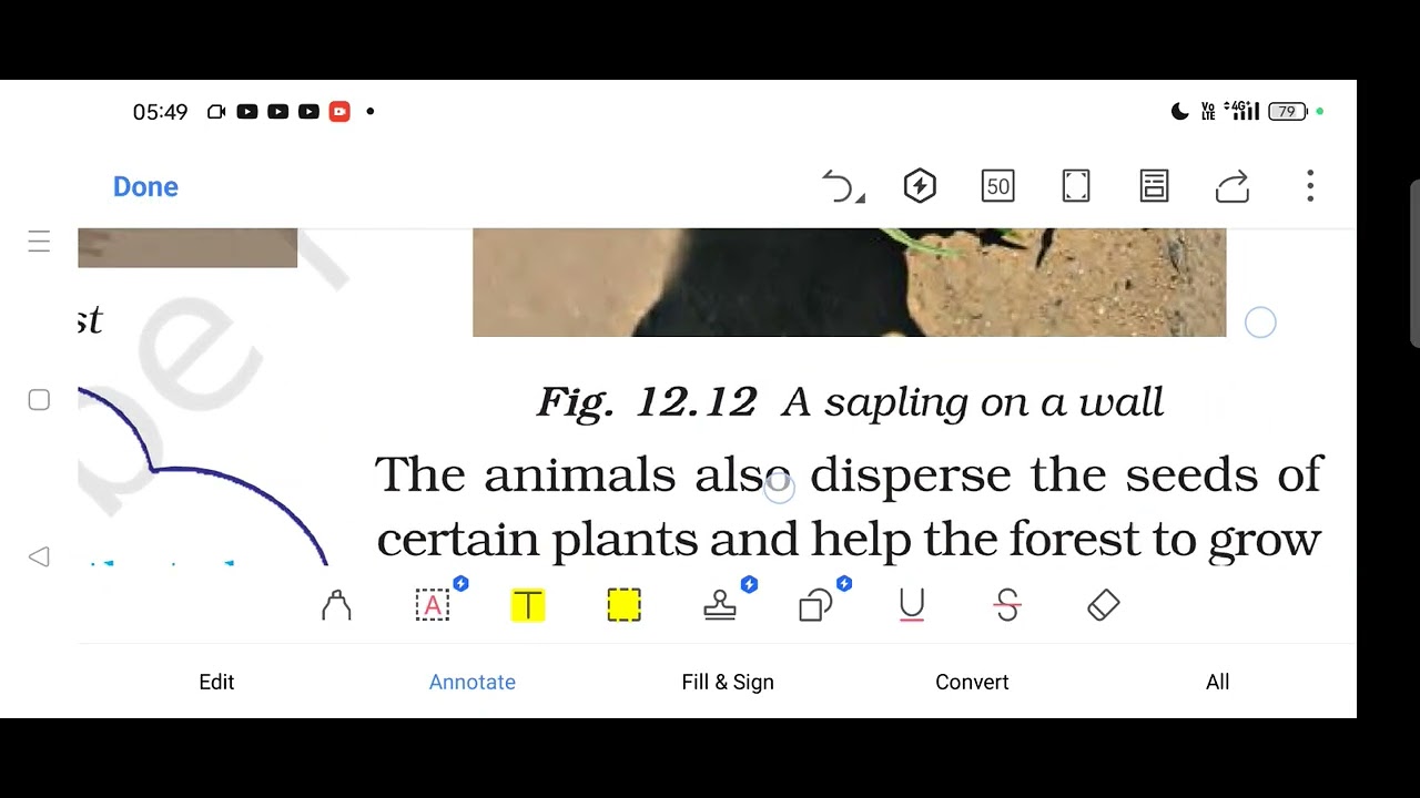 Forests:Our Life Line/Page148-150 Explanation/CBSE Class-7 NCERT ...