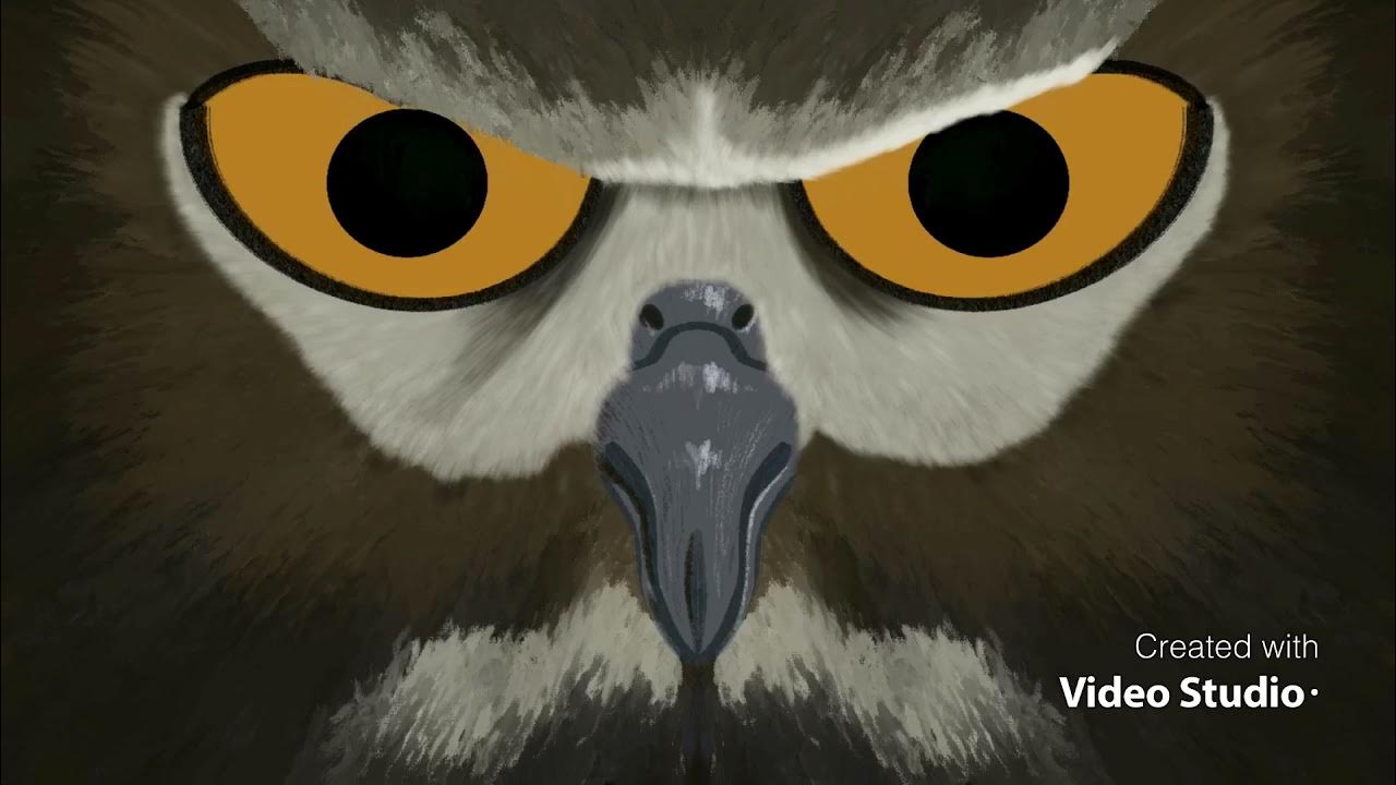 Owl on Procreate - check out Art with Flo - YouTube