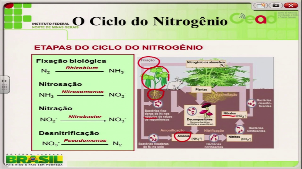 AULA 2 - HIDROBIOLOGIA - YouTube