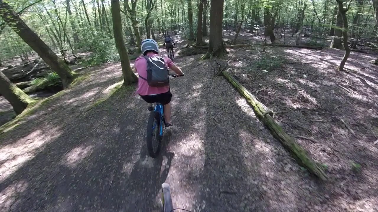 Broxbourne Woods Bombhole Trail - YouTube