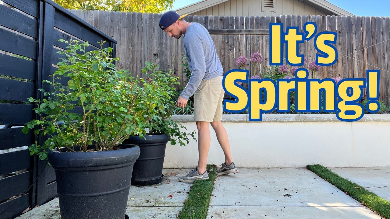 Spring is Finally Here - Garden Update - YouTube