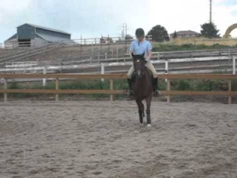 Working on rising trot - YouTube