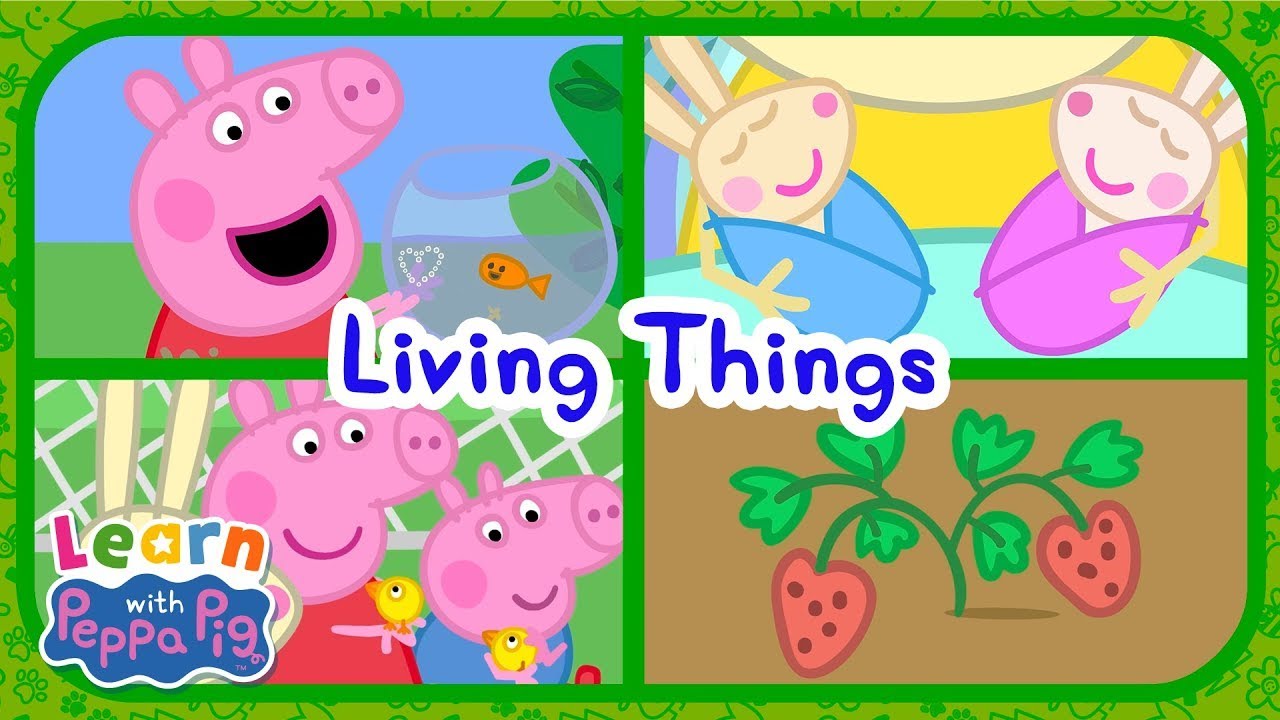 Learn About Living Things With Peppa Pig 🐭 Educational Videos for Kids ...