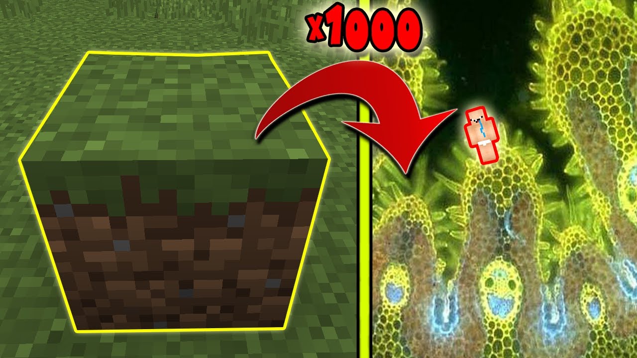 CHEGANDO A NIVEIS MICROORGANISMO NO MINECRAFT - YouTube